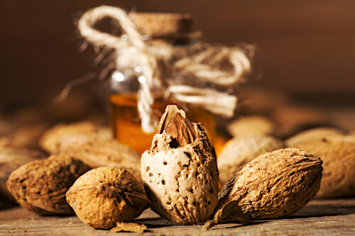 Earth-Tone Color Palette - How to Use the Colors of Nature